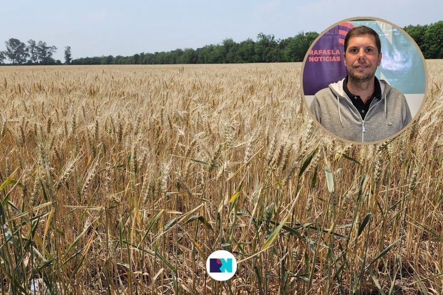 Alassia: "Los impuestos que afrontamos los productores son muy duros ...